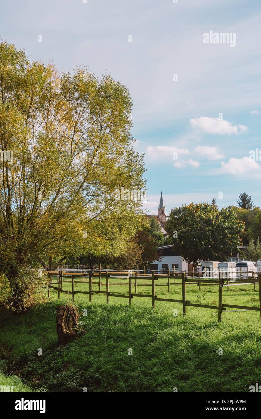 Summer landscape with green medow and rural houses, forest and village ...