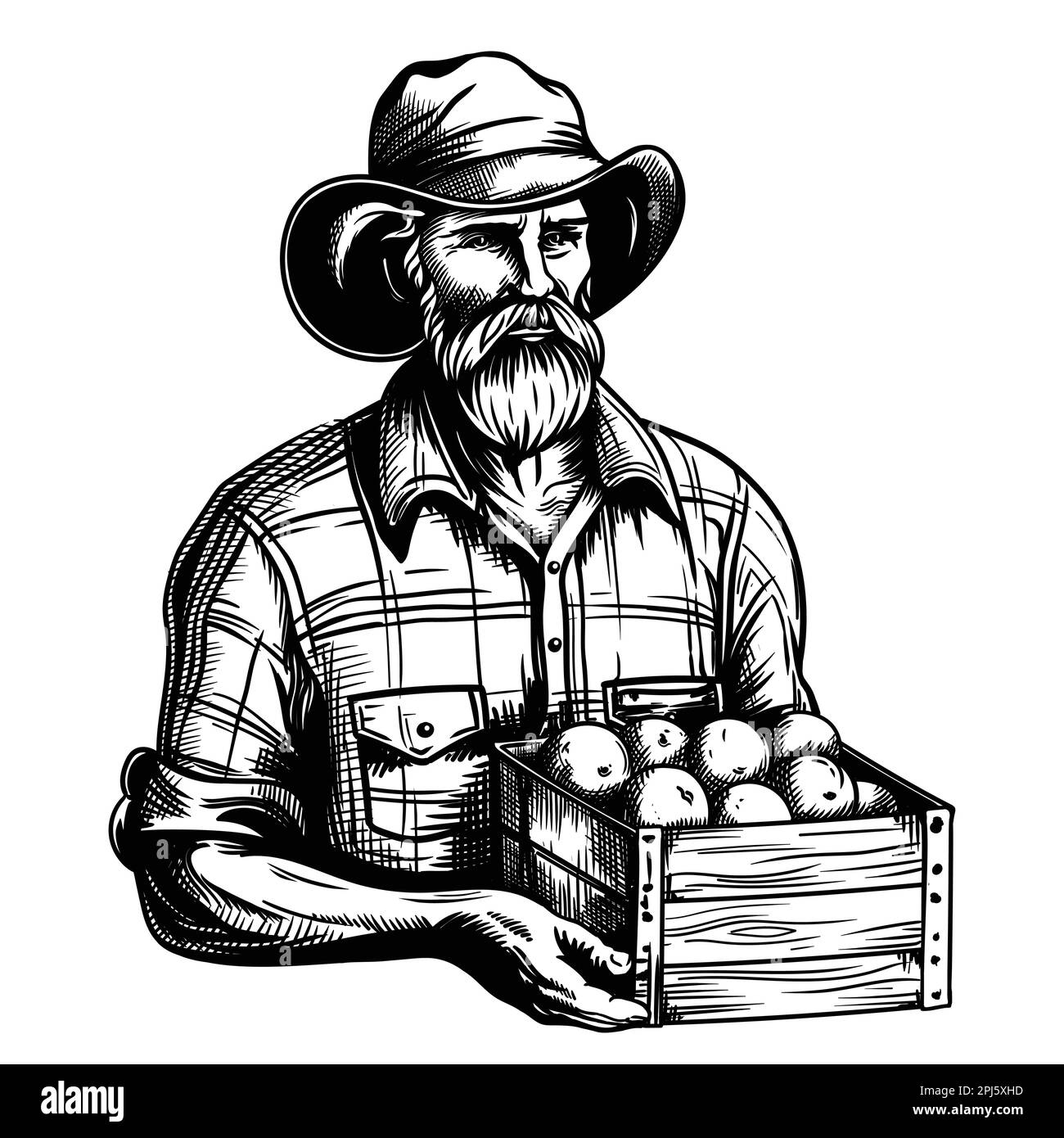 Farmer picking organic fruit Stock Vector Images - Alamy