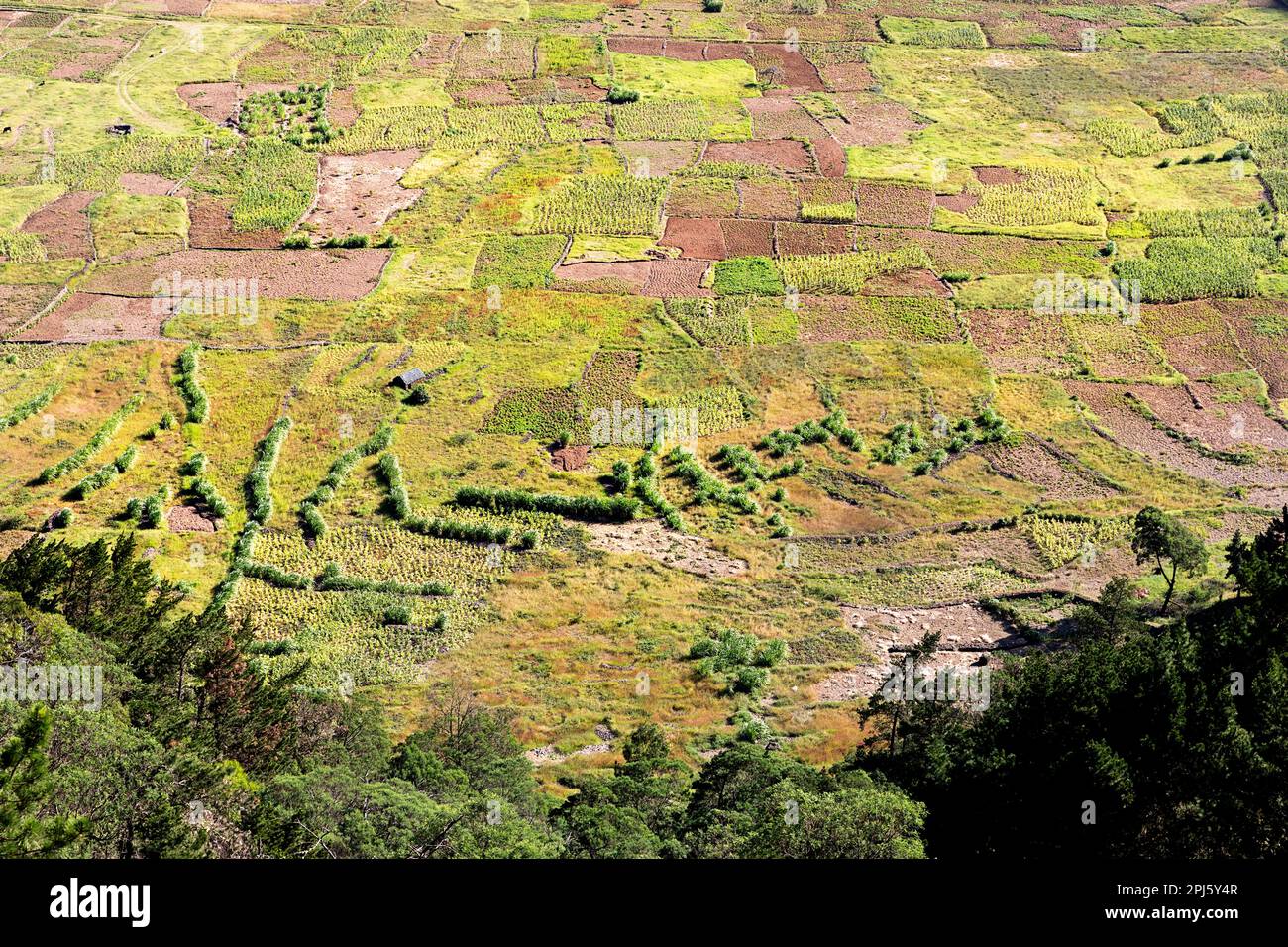 Cultivated land, small farms in a spectacular volcanic crater of cova ...
