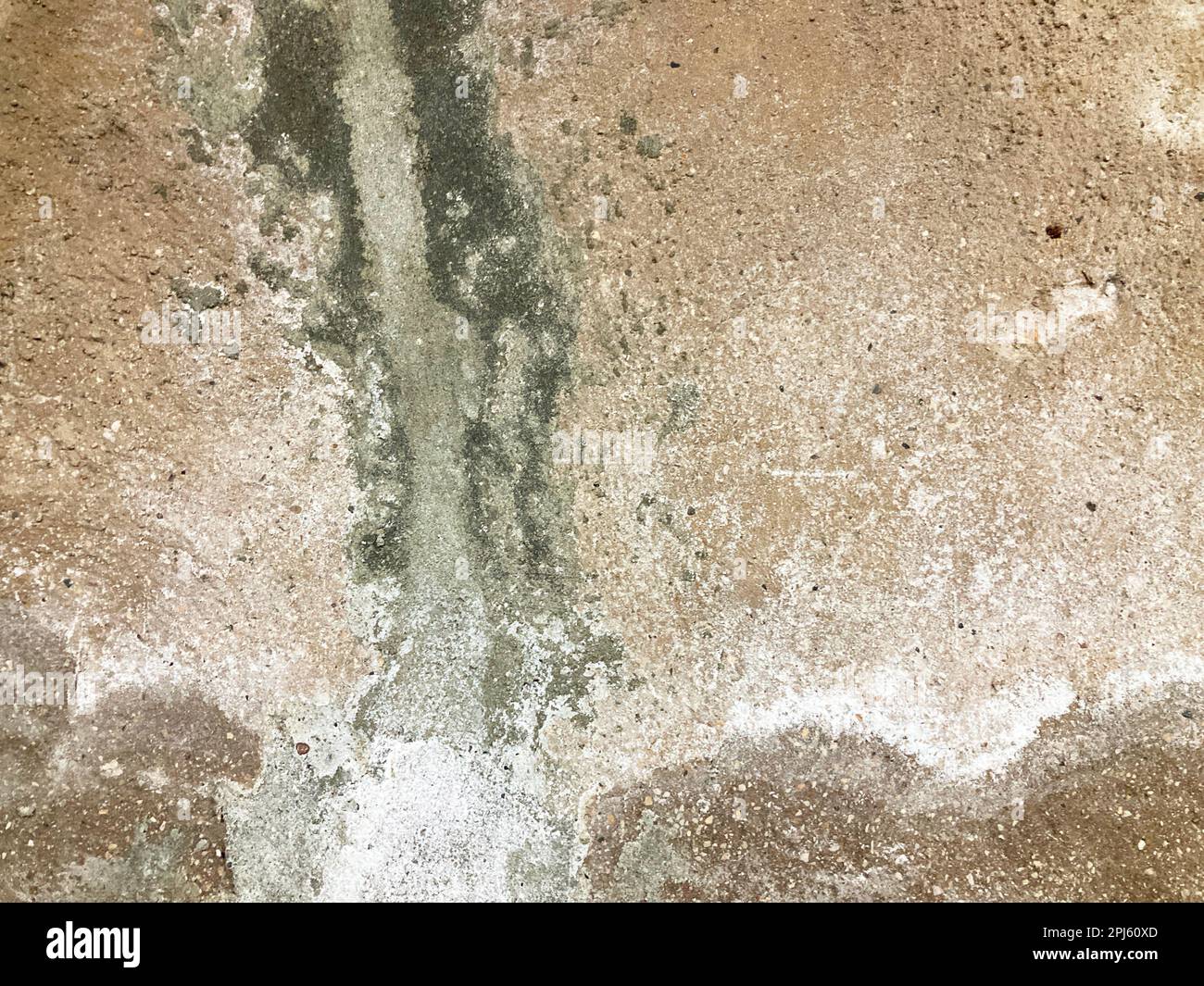 Texture concrete wall with damage and mold Stock Photo - Alamy