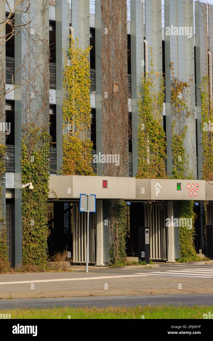 Inclusive parking hi-res stock photography and images - Alamy