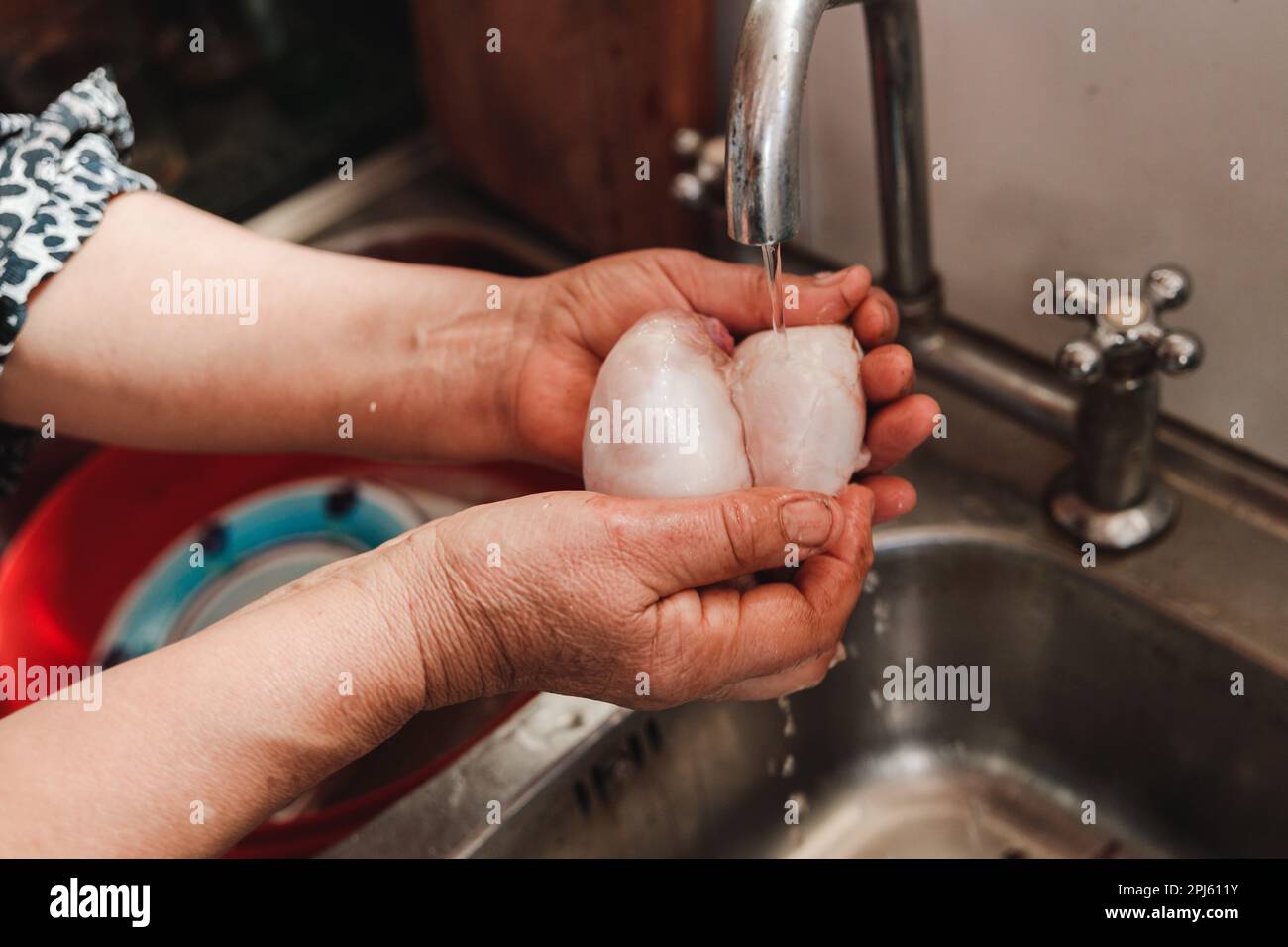 Unrecognizable person washing testicles of a lamb on a sink, to cook ...