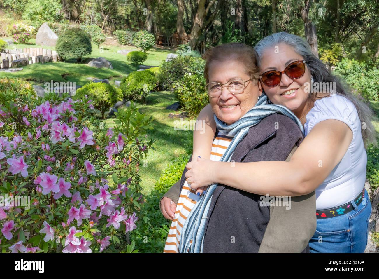 Middle-aged daughter hugging her elderly mother lovingly next to purple ...