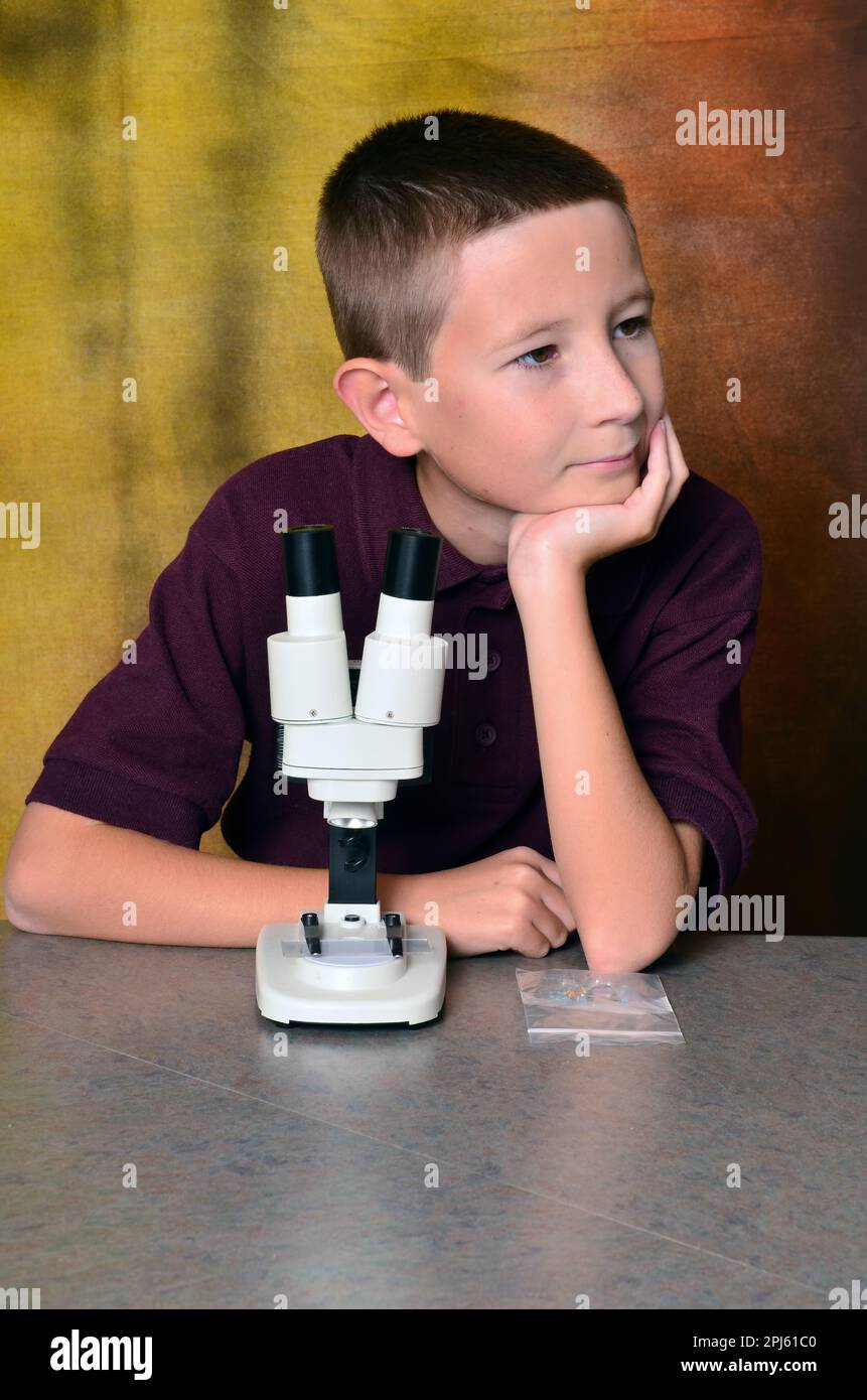 Young boy scientist with microscope examining a sample Stock Photo - Alamy