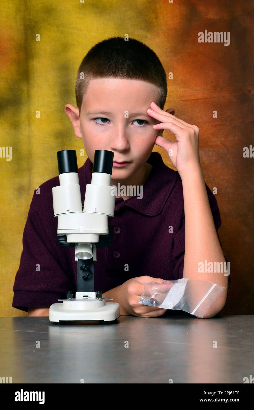 Young boy scientist with microscope examining a sample Stock Photo - Alamy