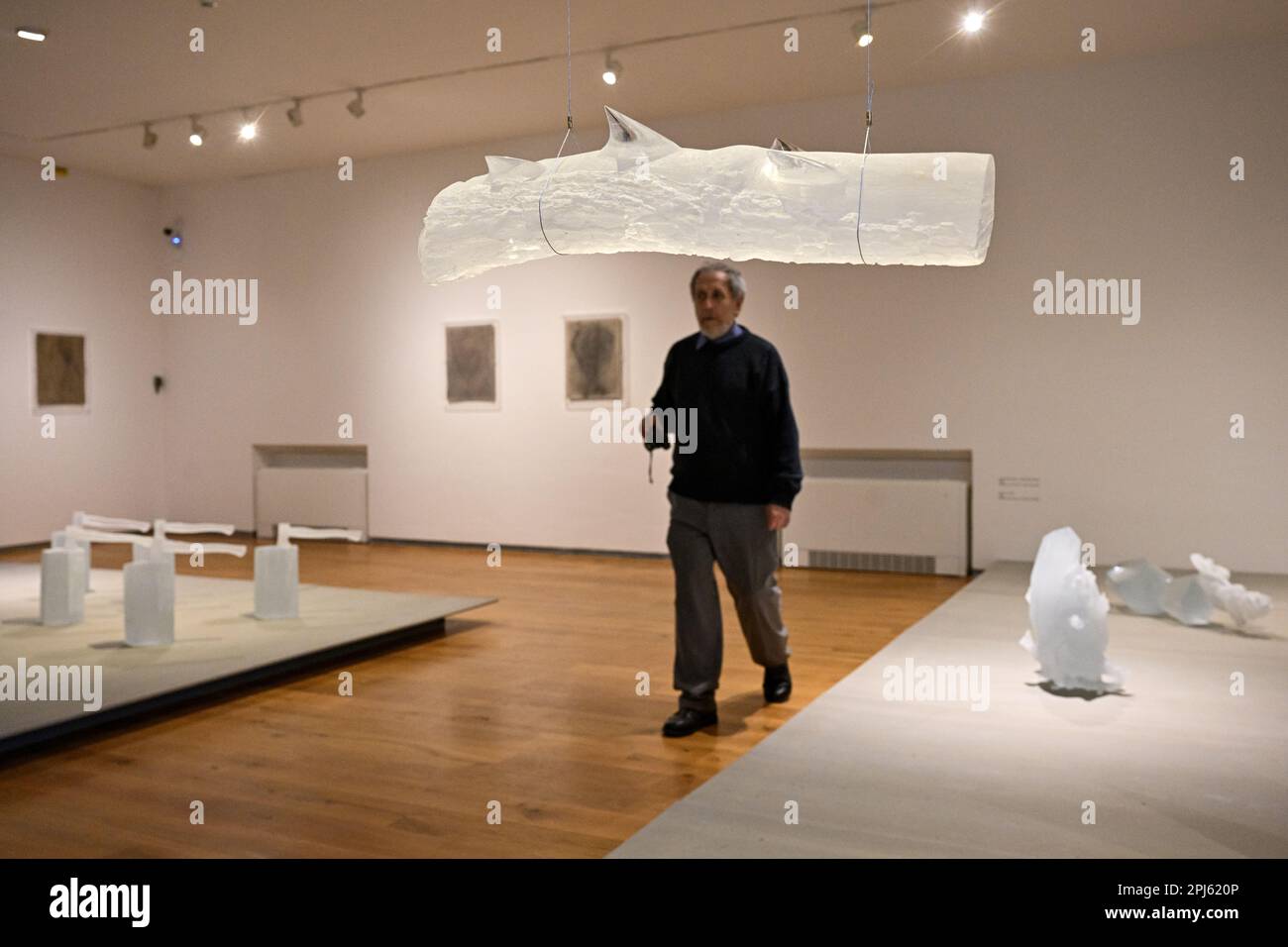 Prague, Czech Republic. 31st Mar, 2023. Czech designer Rony Plesl (not ...