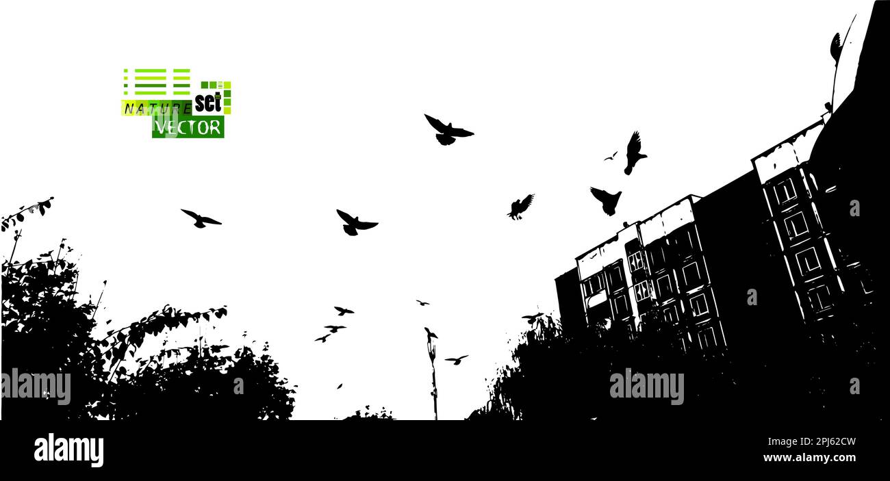 Town Silhouette. Trace city and flying birds. Vector illustration Stock ...