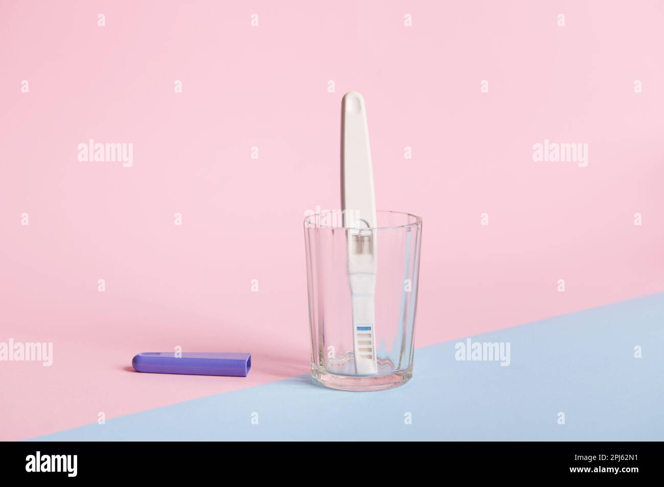 Still life. Pregnancy test with two bars, isolated bicolor pink and ...