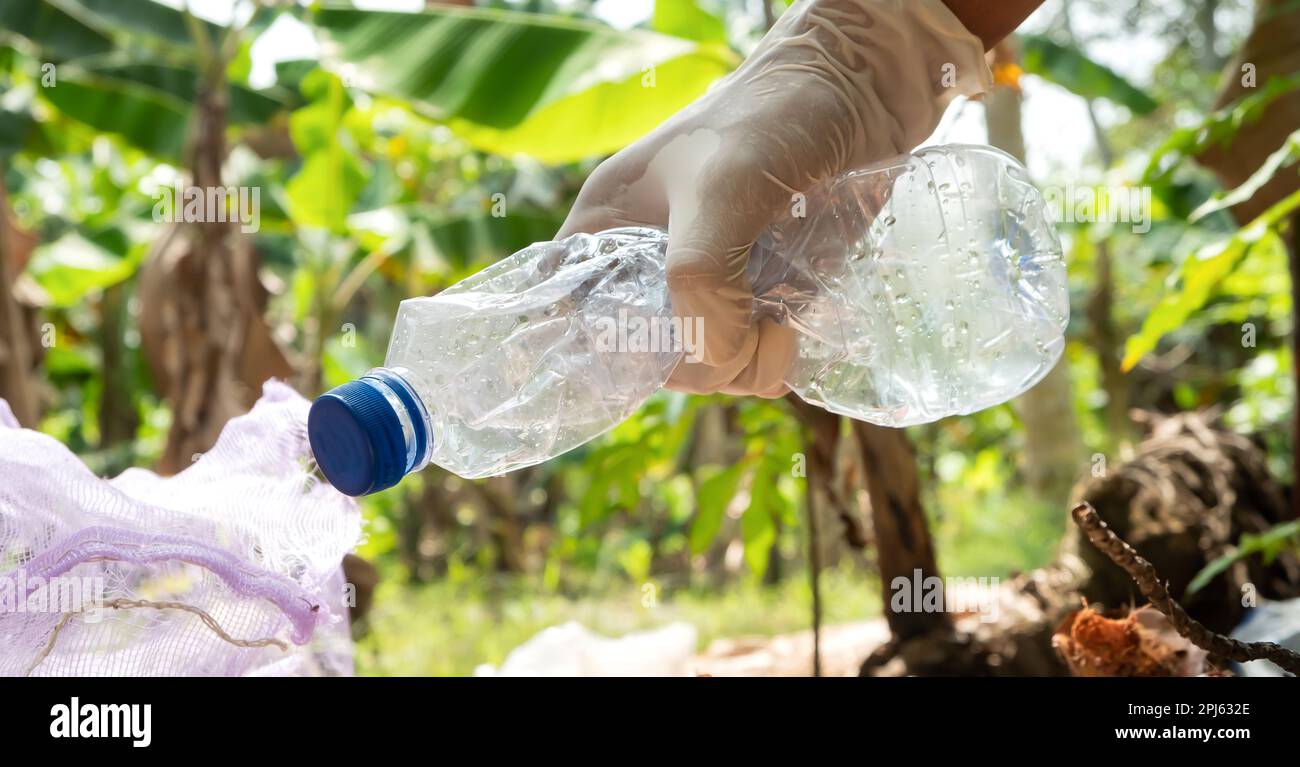 People pick up plastic bottles into garbage bags. agriculture and ...