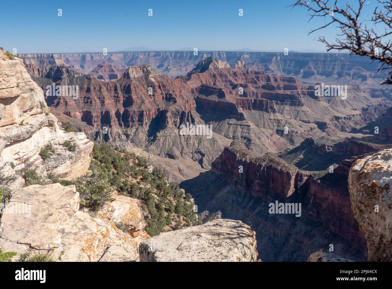 The Grand Canyon from the trail to Bright Angel Point on the North Rim ...