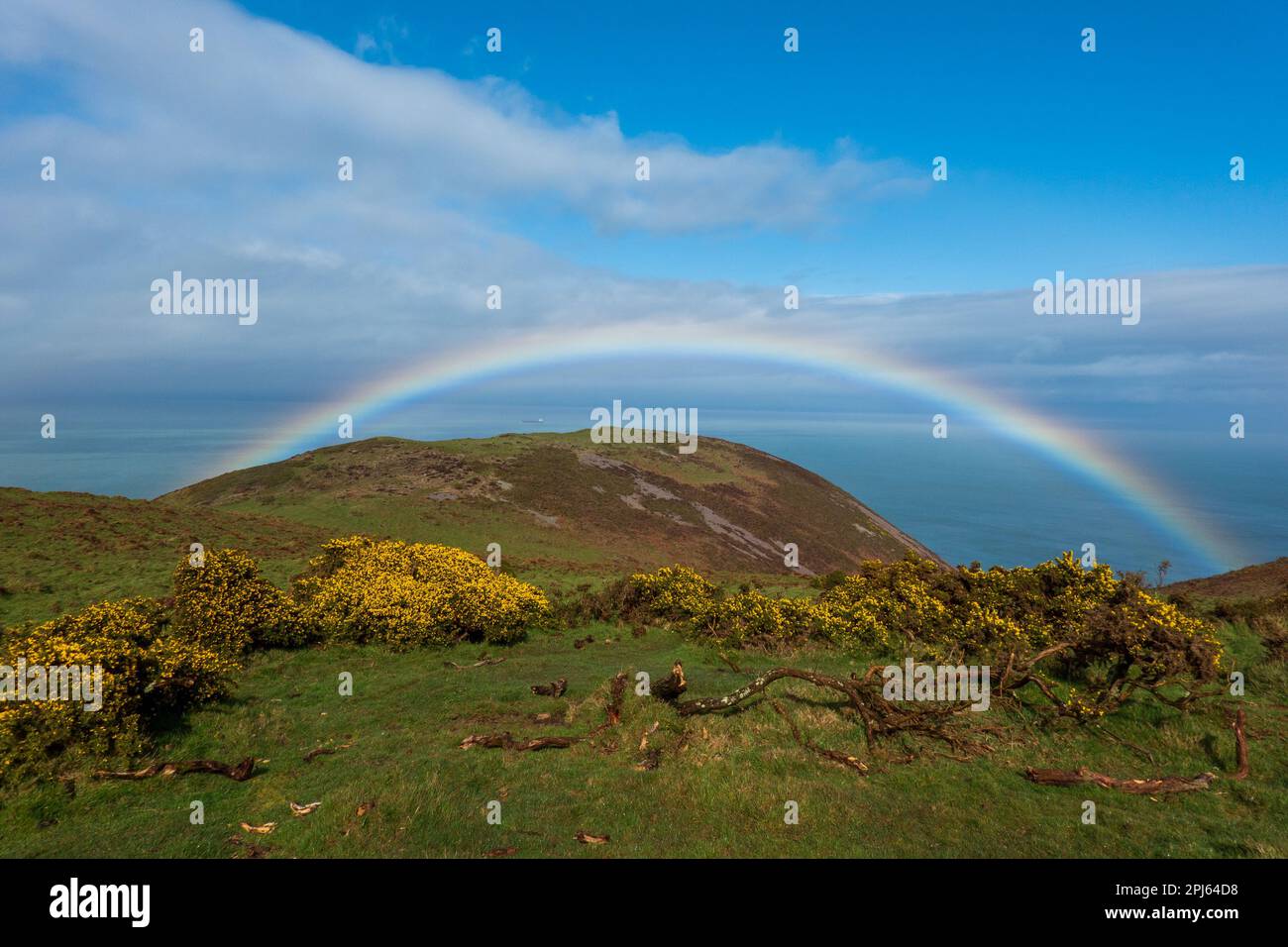 South west coast path devon foreland hi-res stock photography and ...