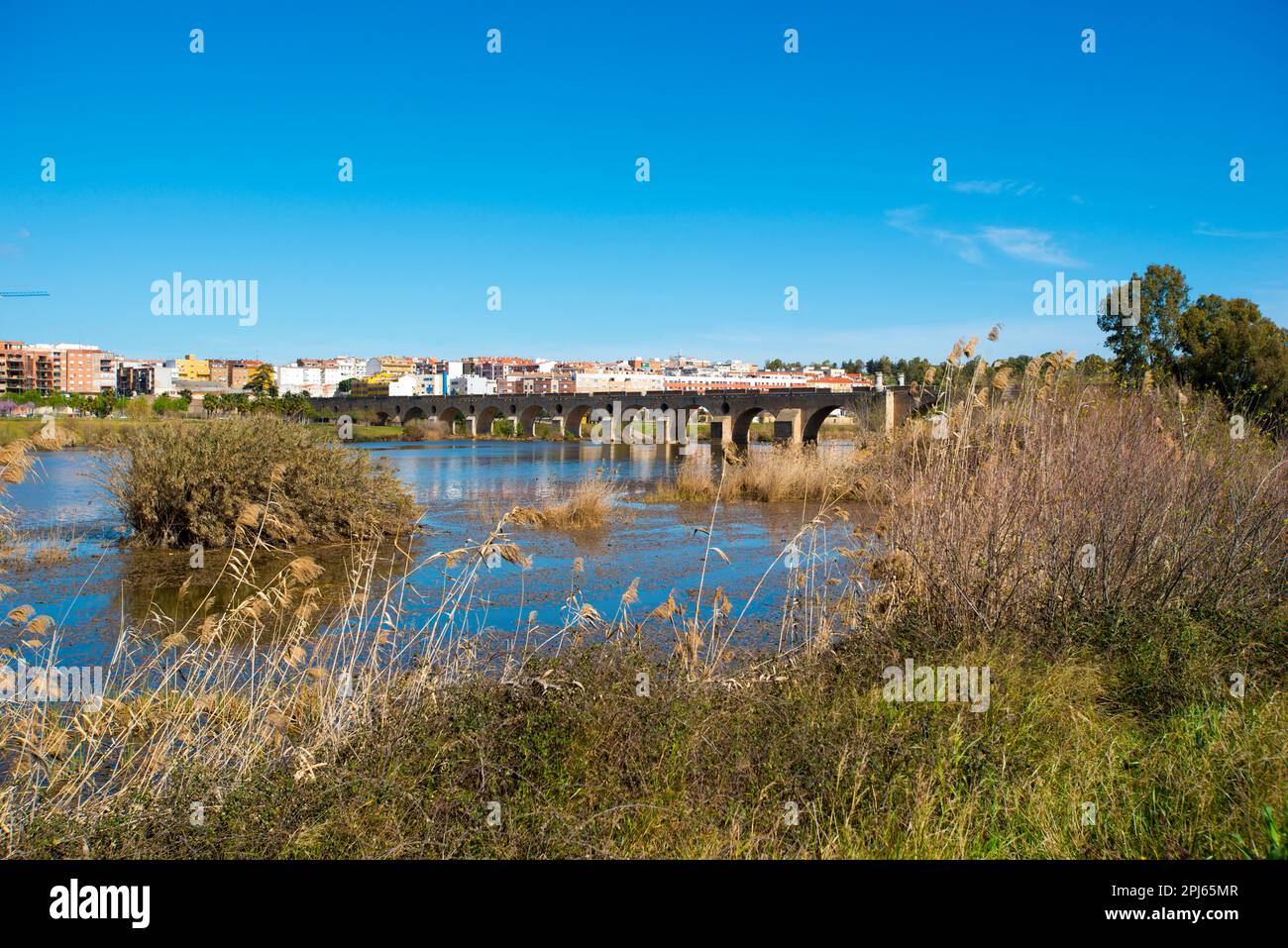Natural reserve of the guadiana river hi-res stock photography and ...