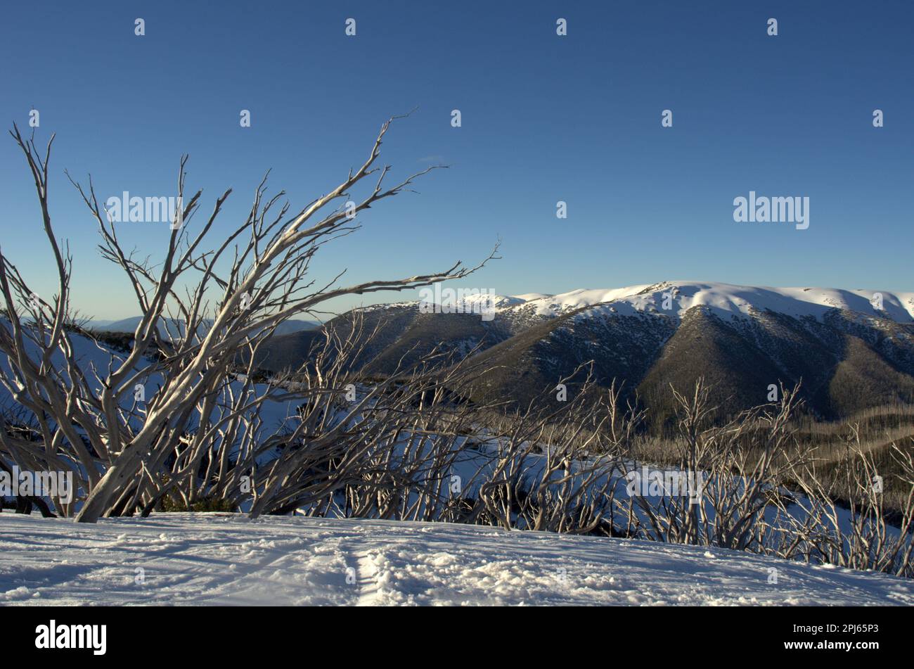 Victorian alps australia hi-res stock photography and images - Alamy