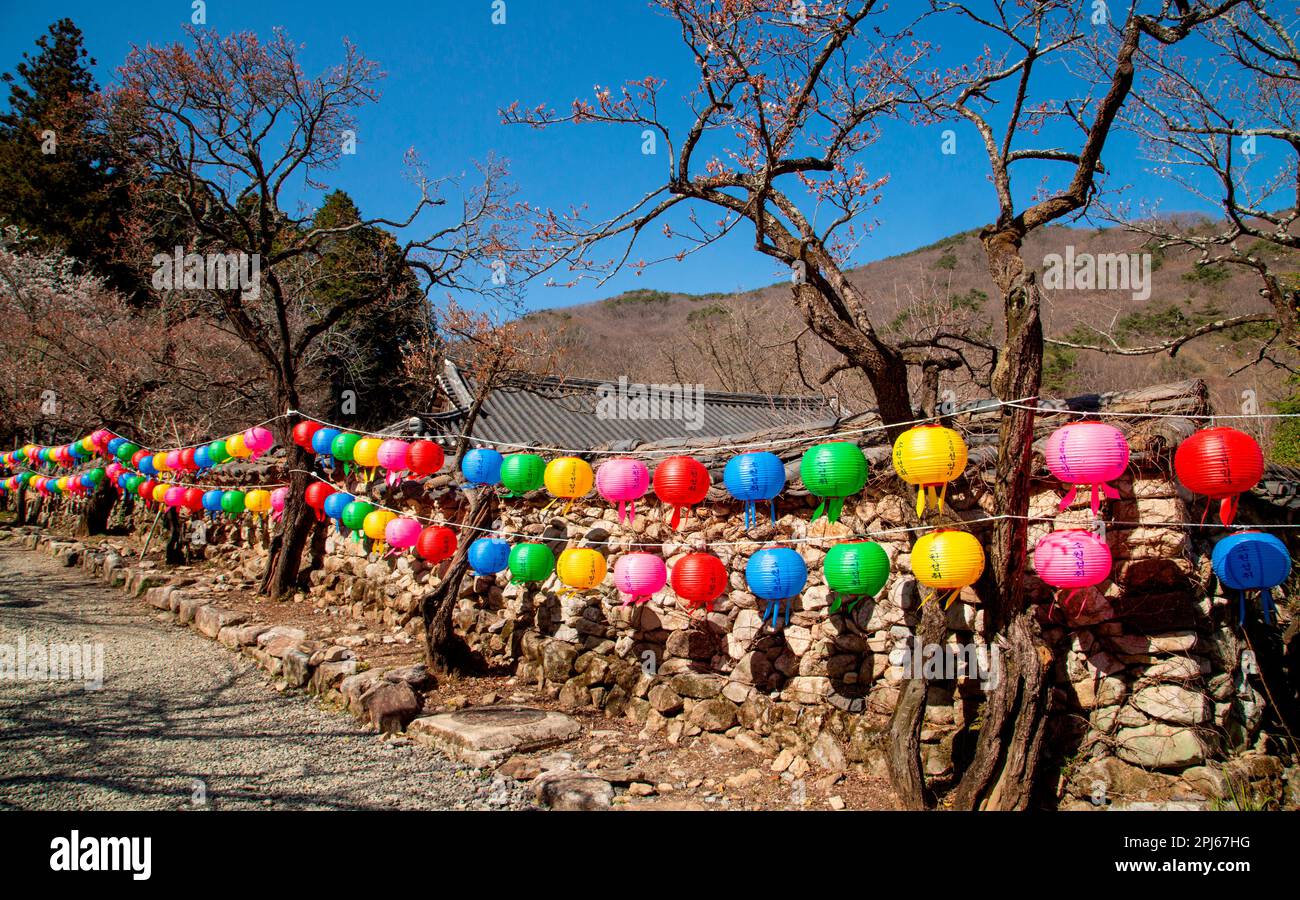 Seonam temple, Mar 27, 2023 : Seonam temple or Seonamsa on Mount Jogye ...