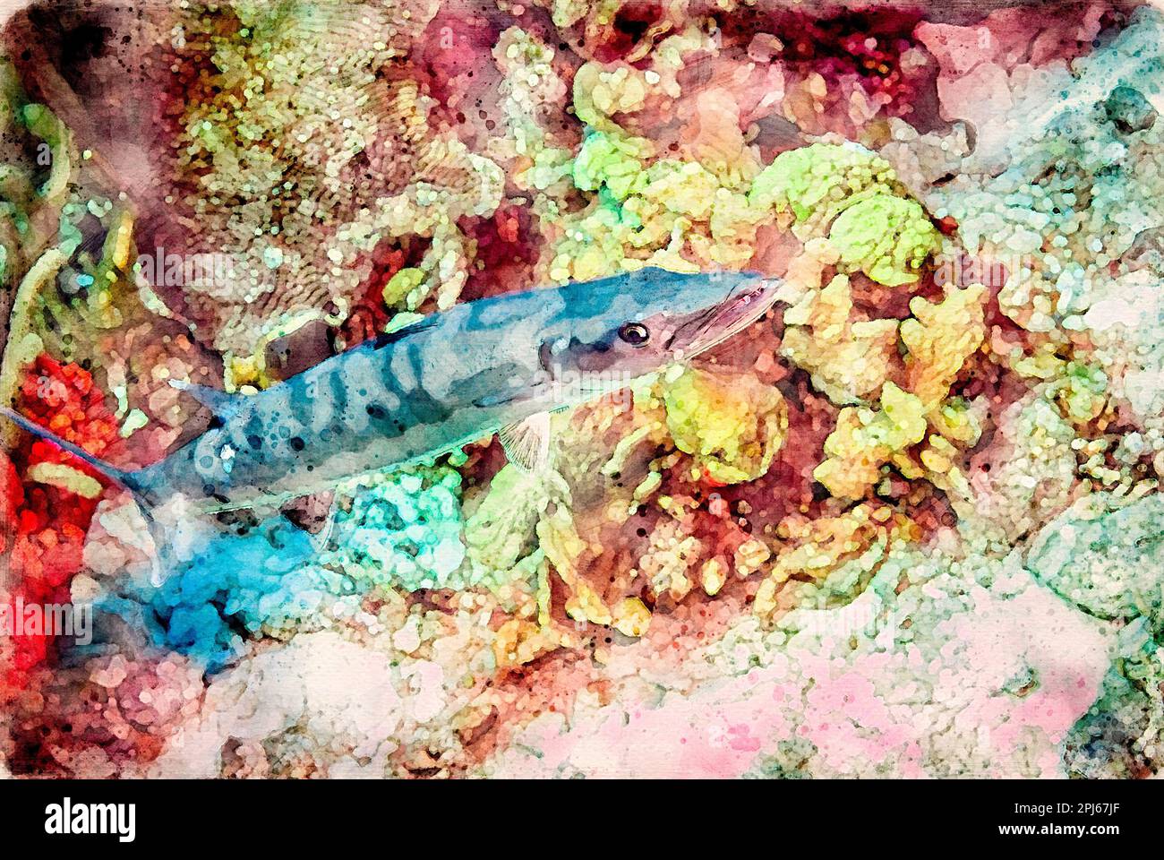 Barracuda Painting