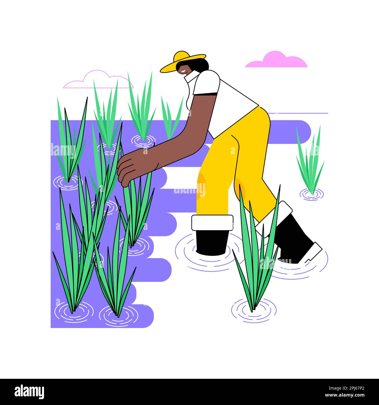 Rice growing isolated cartoon vector illustrations. Young farmer ...