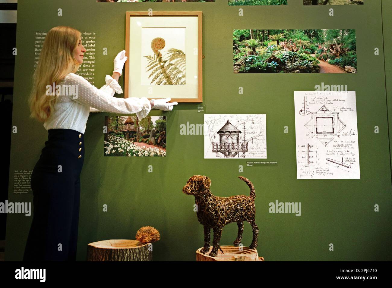 Exhibition curator Rosie Alderton adjusts a watercolour by Beverly ...