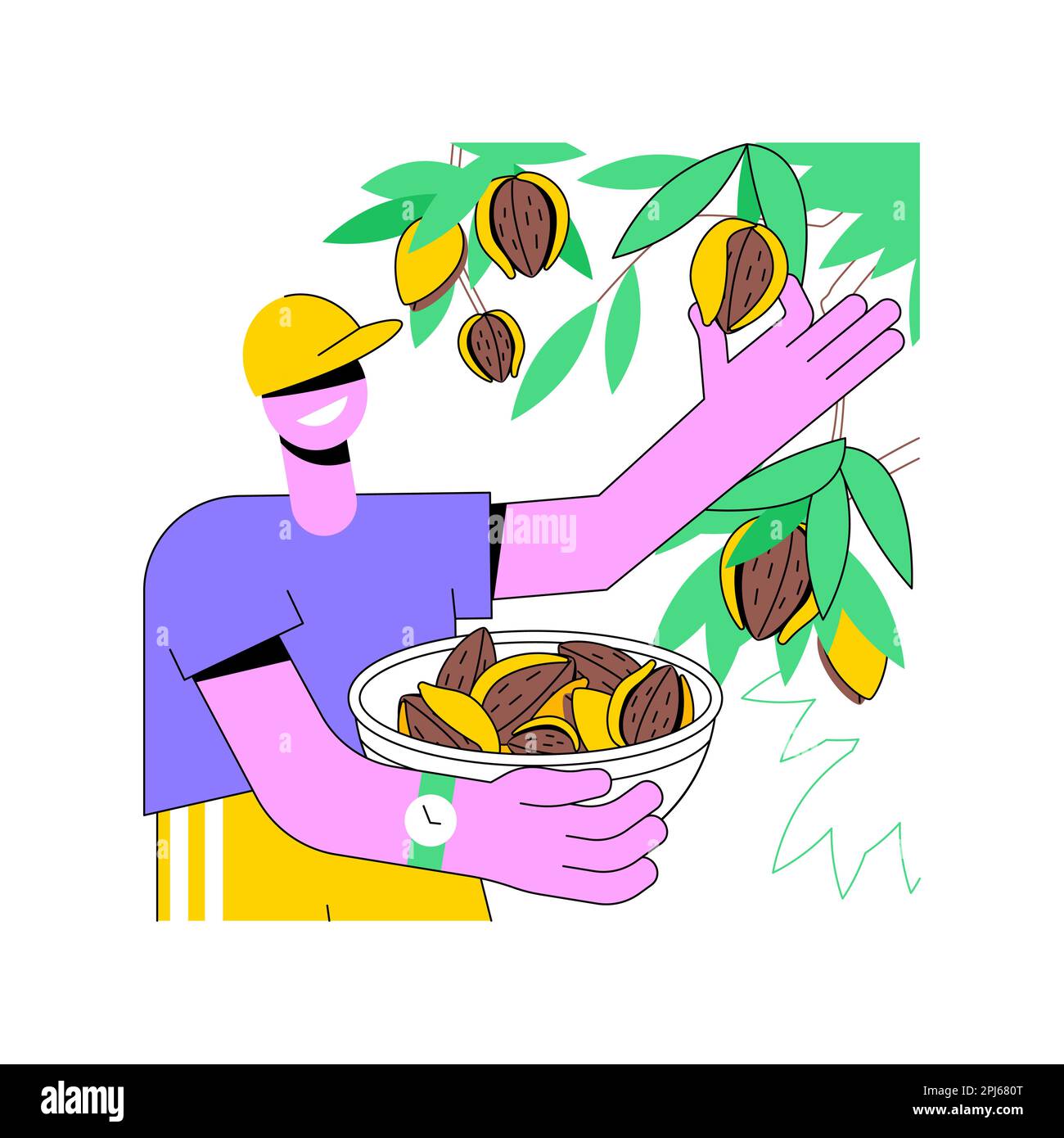 Almonds growing isolated cartoon vector illustrations. Farmer picking ...