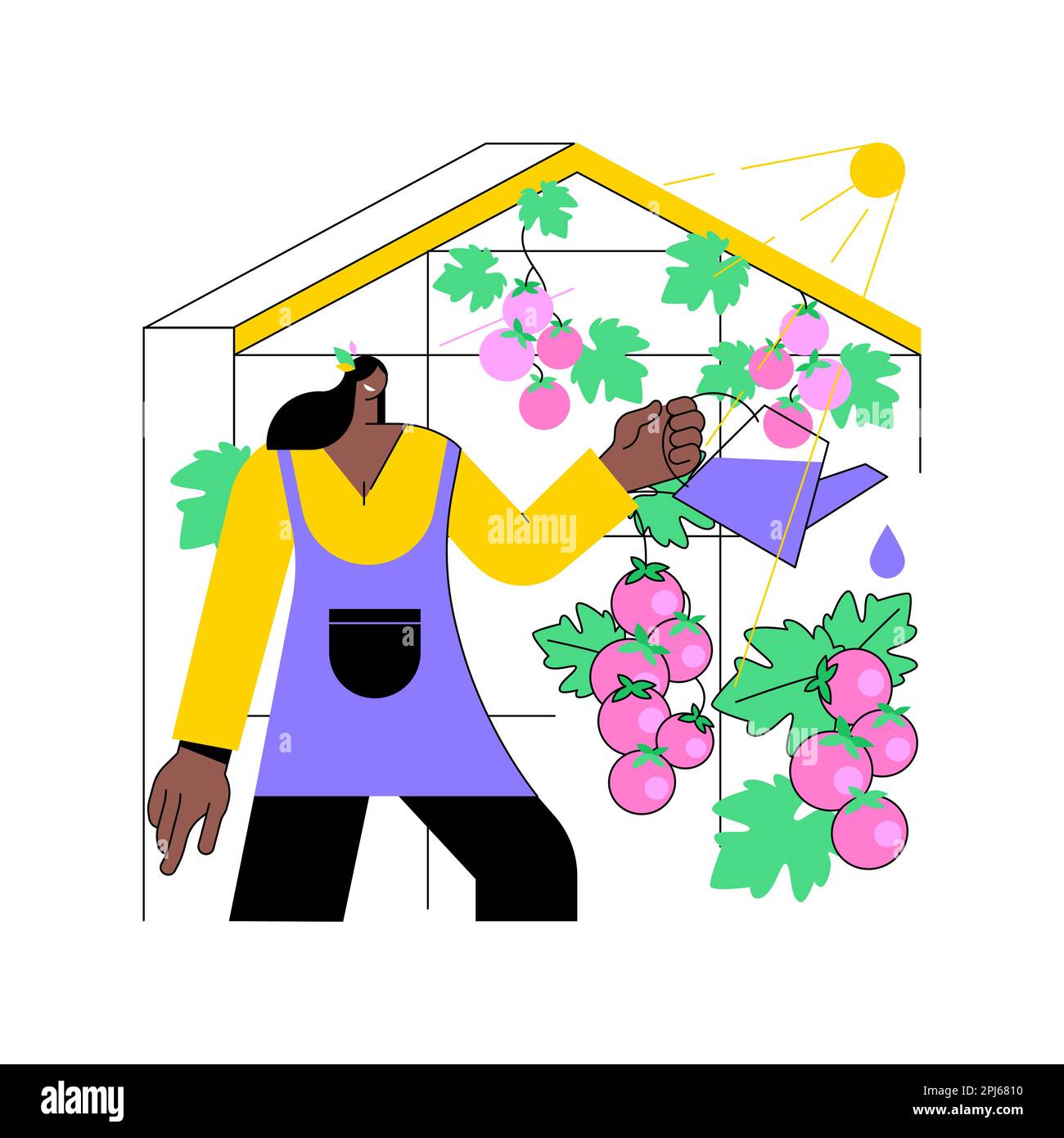 Tomato greenhouse isolated cartoon vector illustrations. Woman growing ...