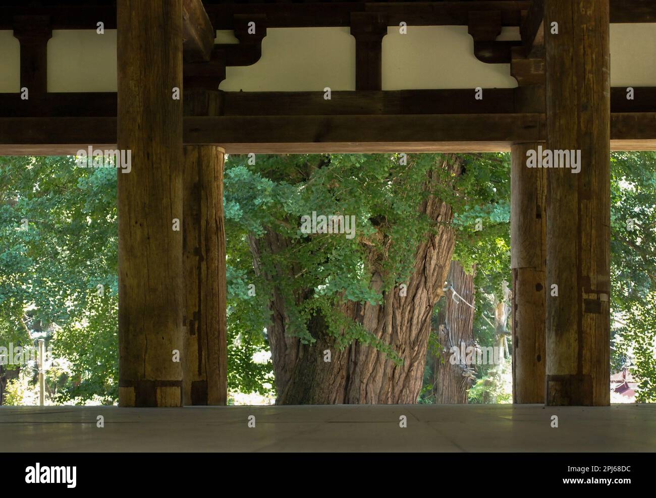 Shrine shingu kumano jinja hi-res stock photography and images - Alamy