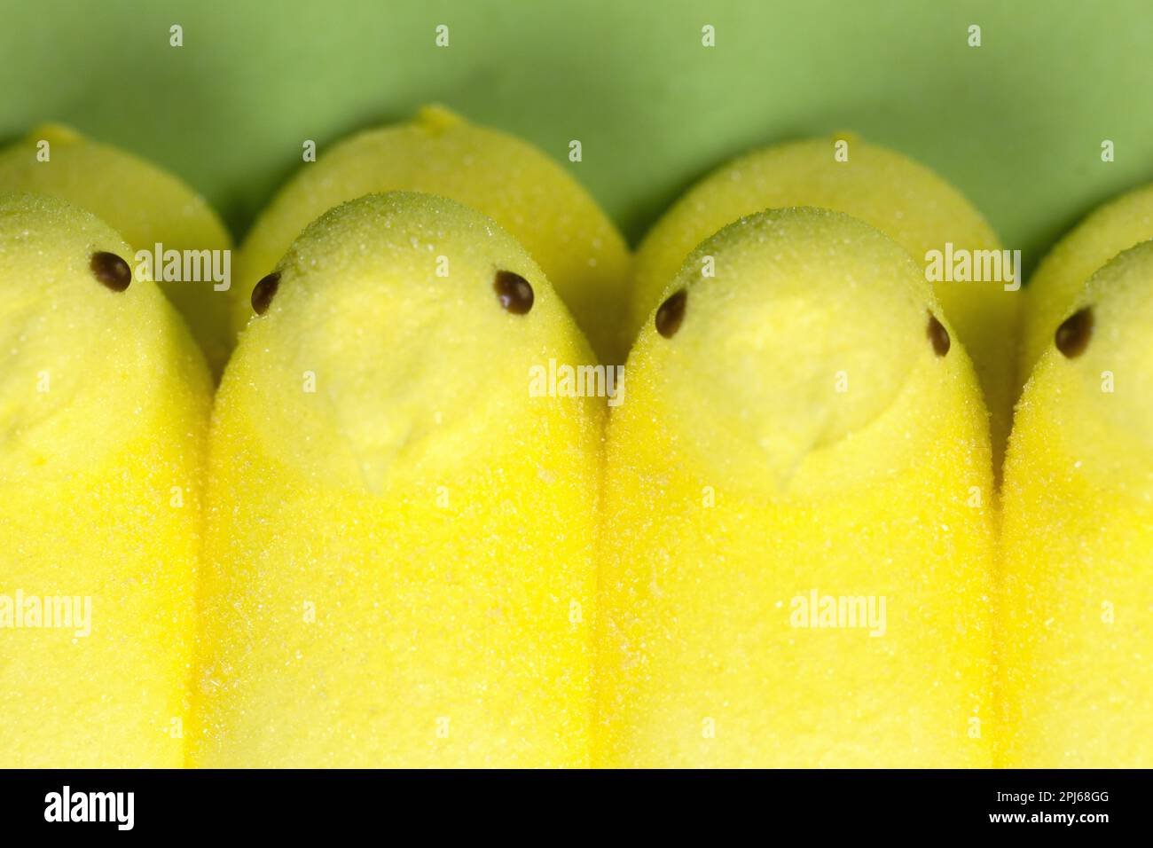Yellow Peeps Easter candy in a row Stock Photo - Alamy