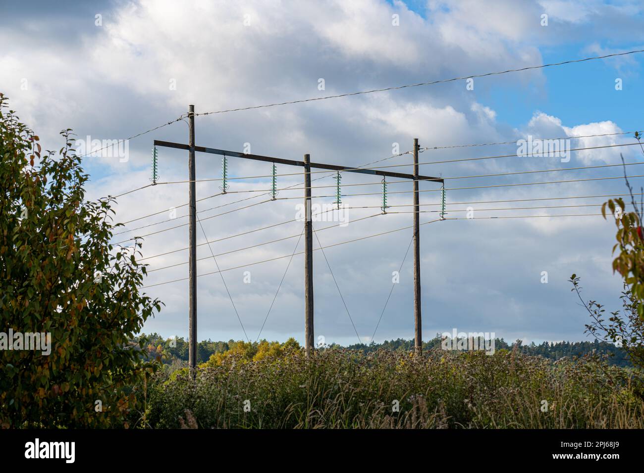 High power poles through a forest Stock Photo - Alamy