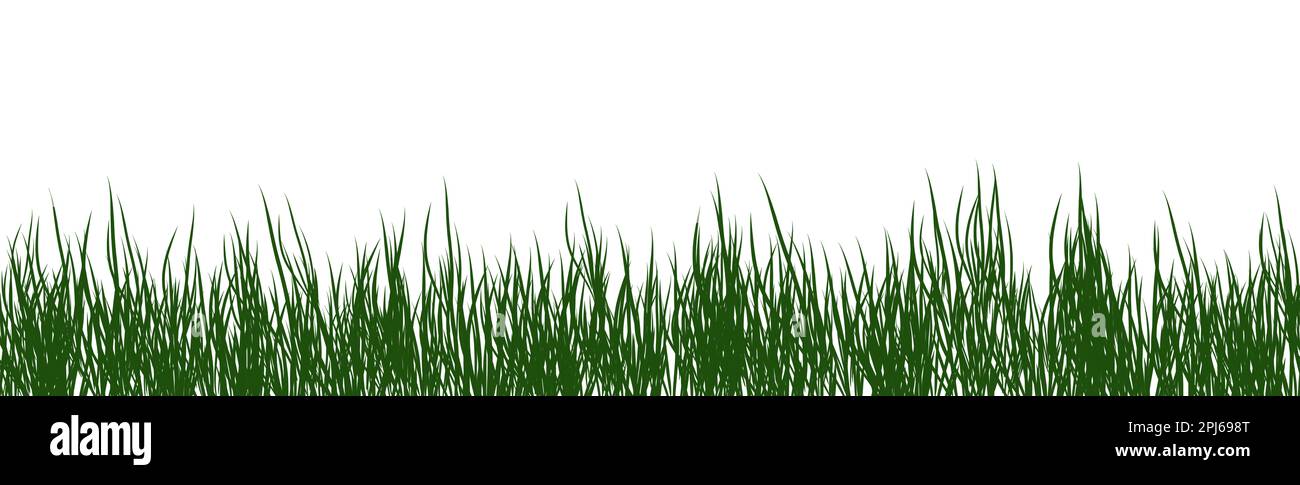 Digitally rendered grass isolated on white background Stock Photo - Alamy