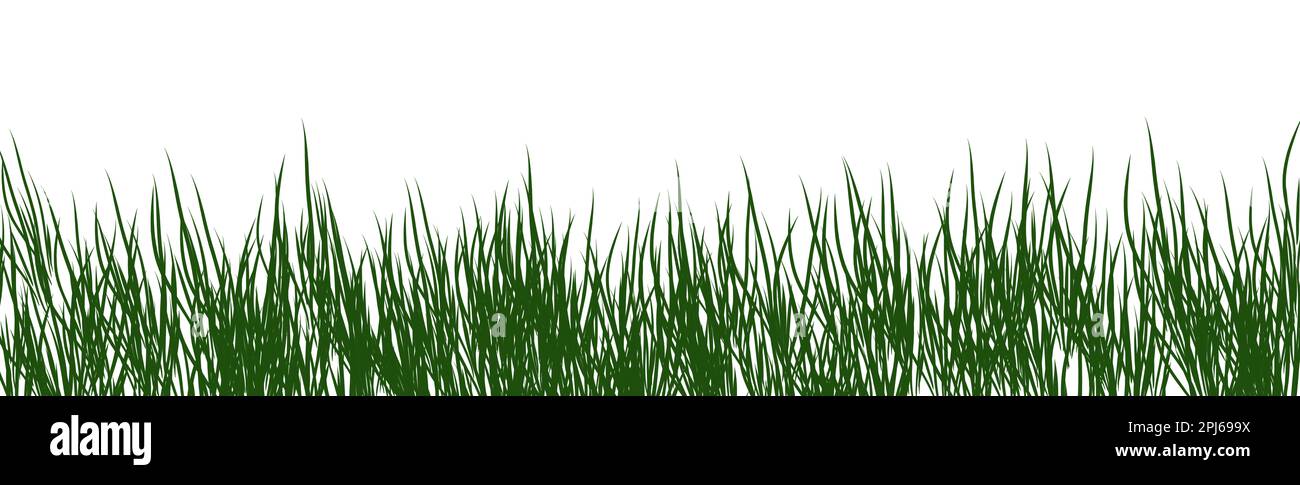Digitally rendered grass isolated on white background Stock Photo - Alamy