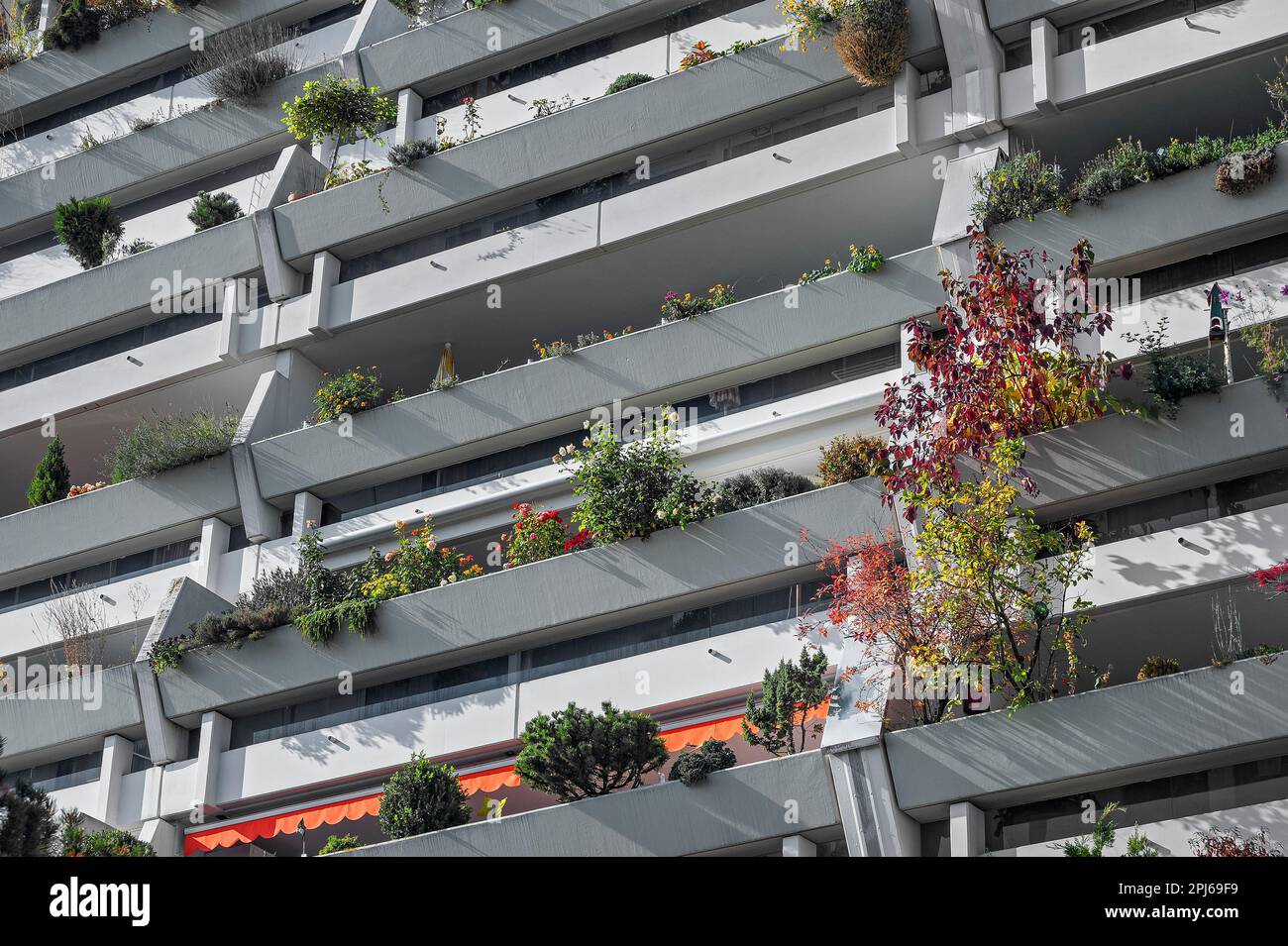 High-rise building with greened concrete balconies in the former ...