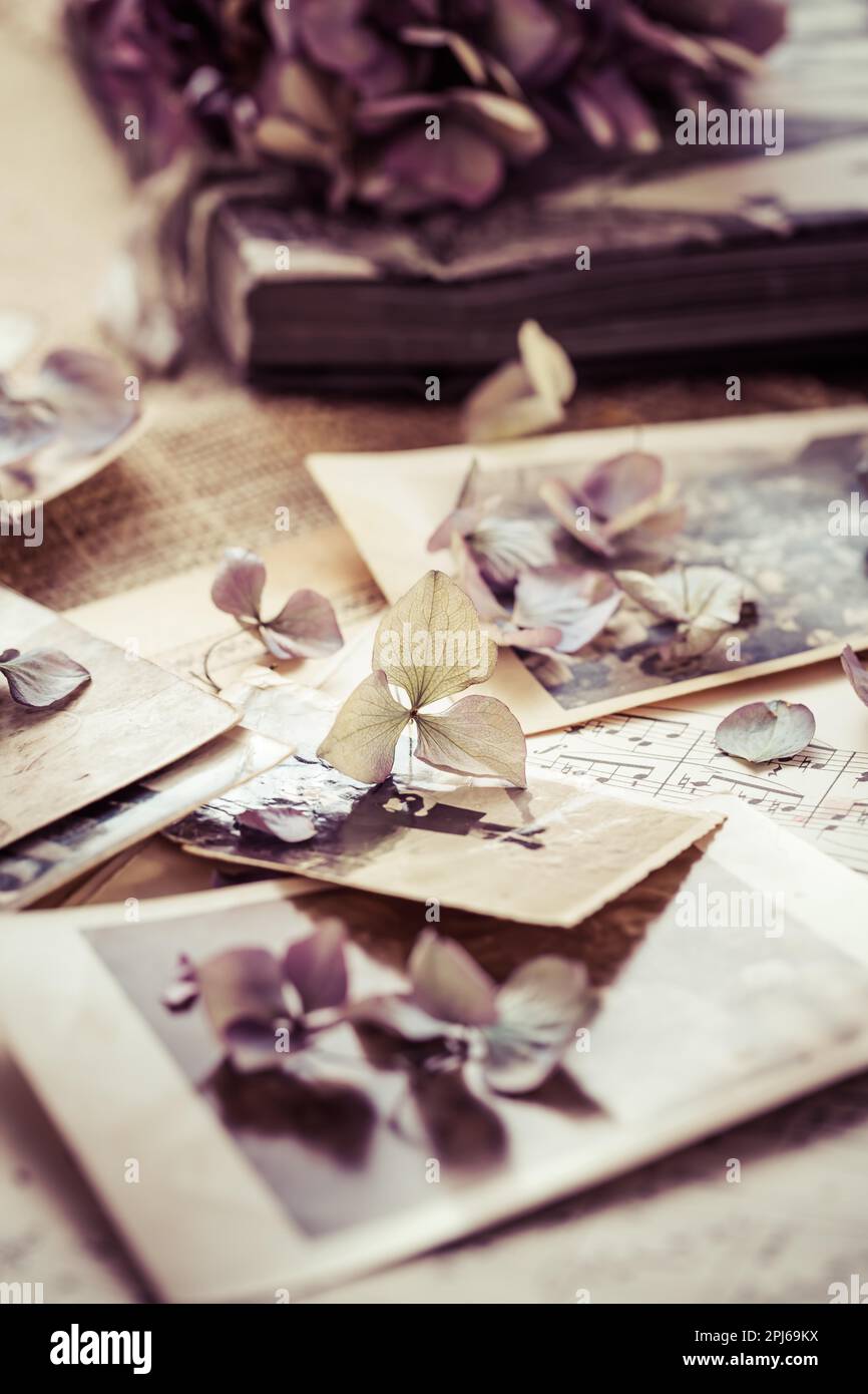 Memories - old and antique family photos dated to 1930 with old photo ...