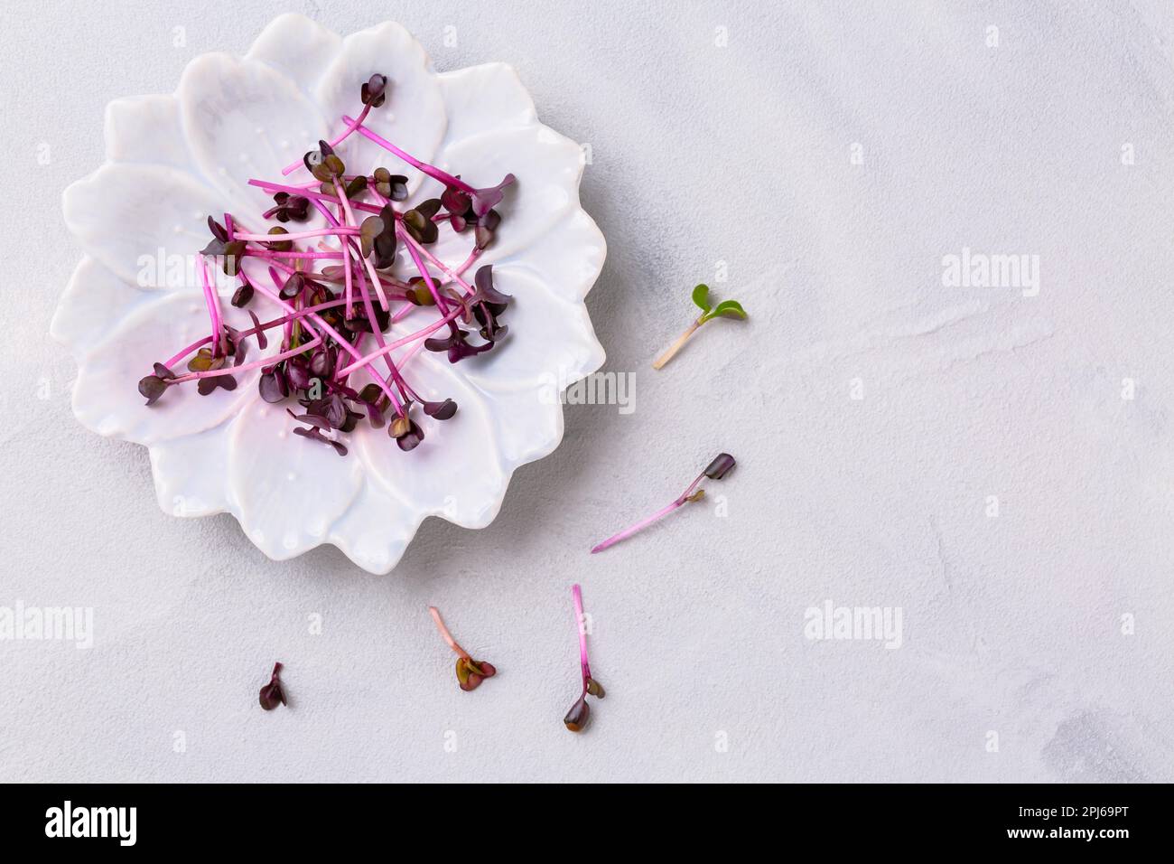 Purple Shiso Cress on grey plate Stock Photo - Alamy