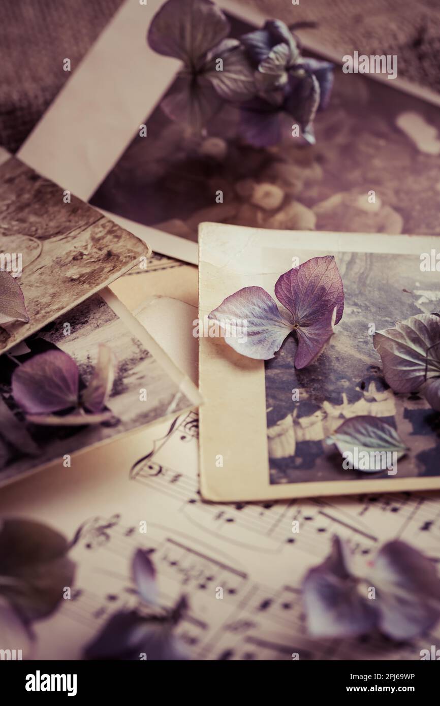 Memories - old and antique family photos dated to 1930 with old photo ...