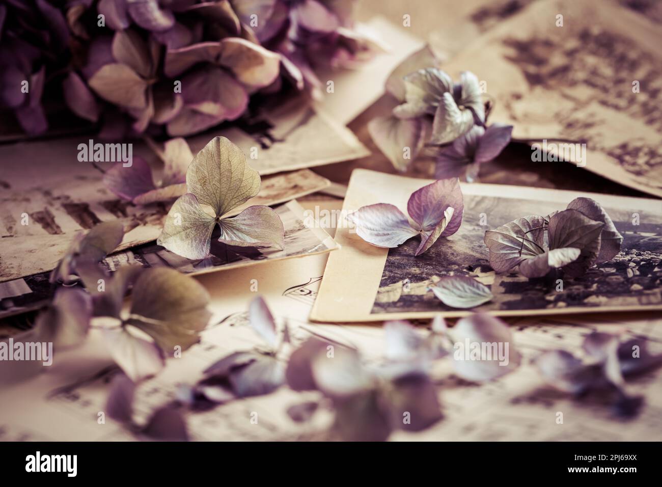 Memories - old and antique family photos dated to 1930 with old photo ...