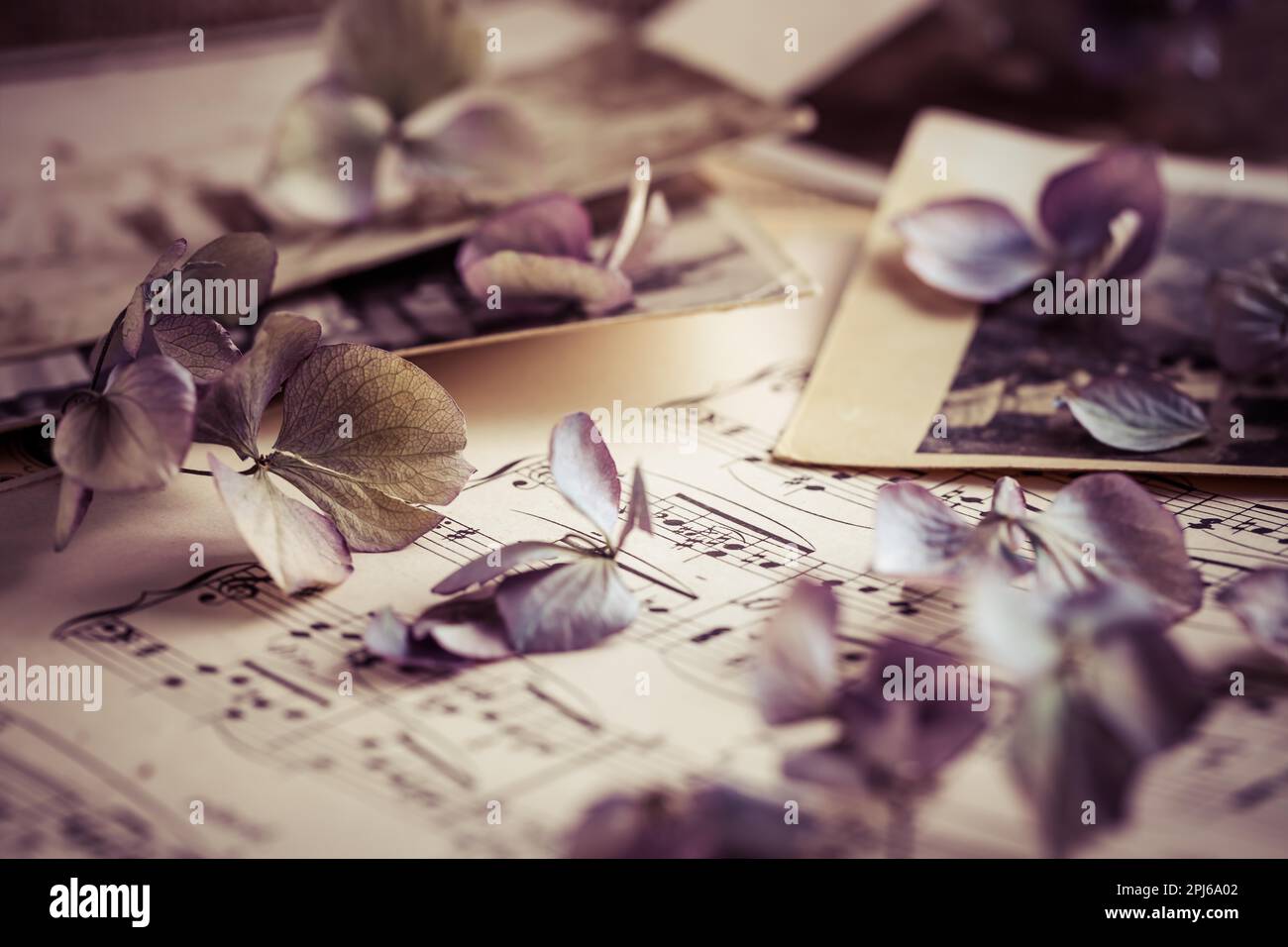 Memories - old and antique family photos dated to 1930 with old photo ...