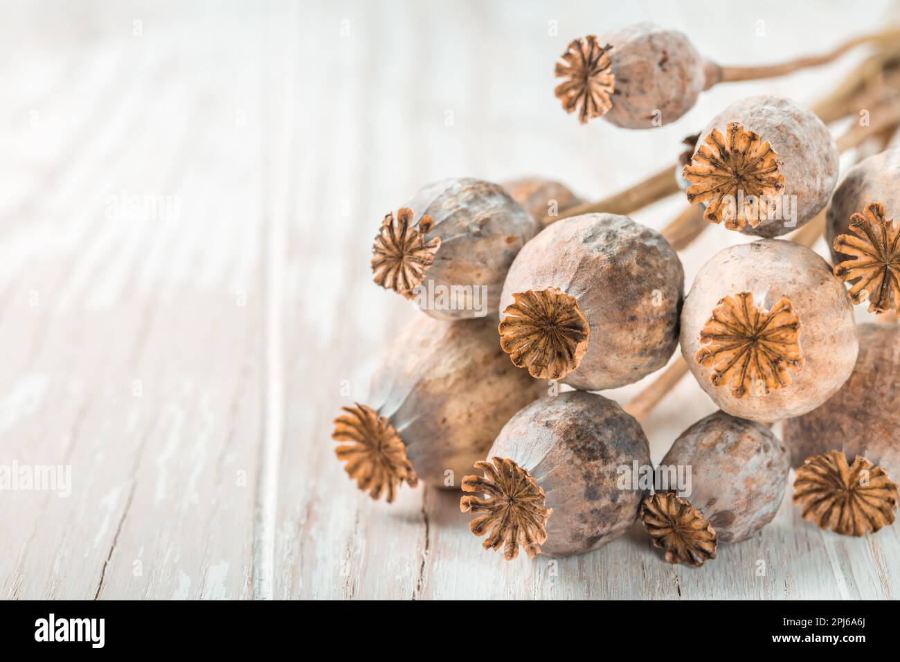 Poppy heads on wooden background Stock Photo - Alamy