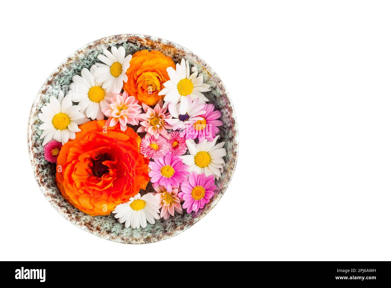 Variation of flowers in bowl isolated on white background with copy ...