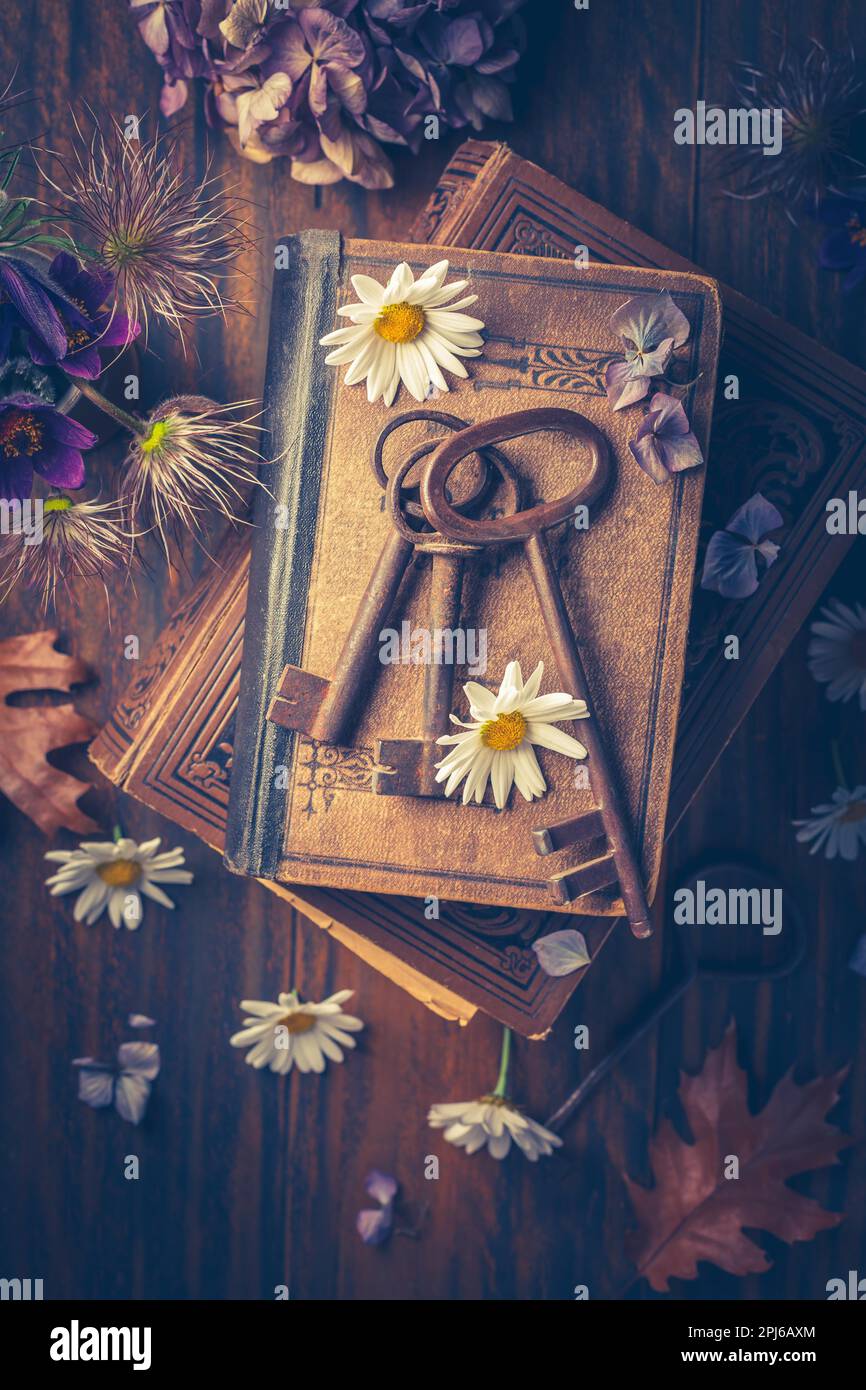 Book keys hi-res stock photography and images - Alamy
