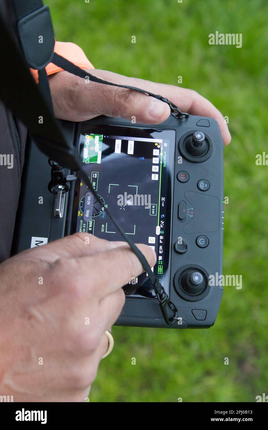 Man operating drone controller with monitor to locate roe deer fawns ...