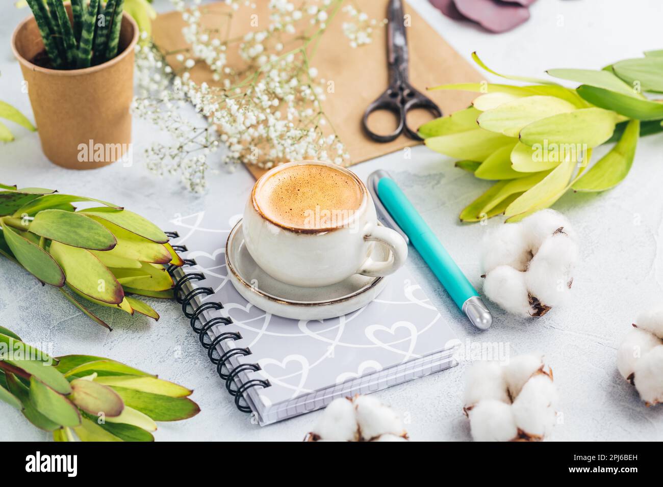Workplace with cup of coffee, plants and notebook. Ideas for your ...