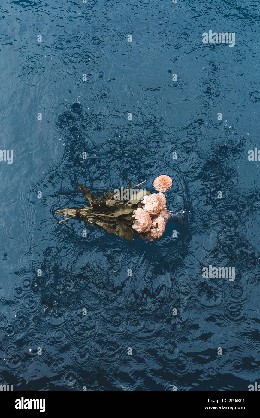 Bouquet of beige fresh flowers floating in the splashing water ...