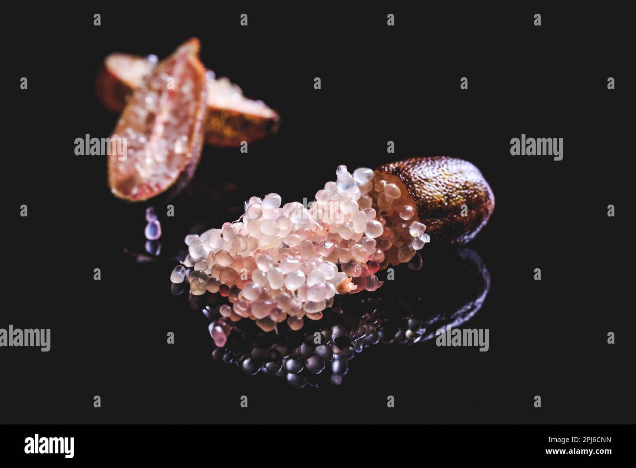 Australian finger lime or caviar lime, edible fruits used in gourmet ...