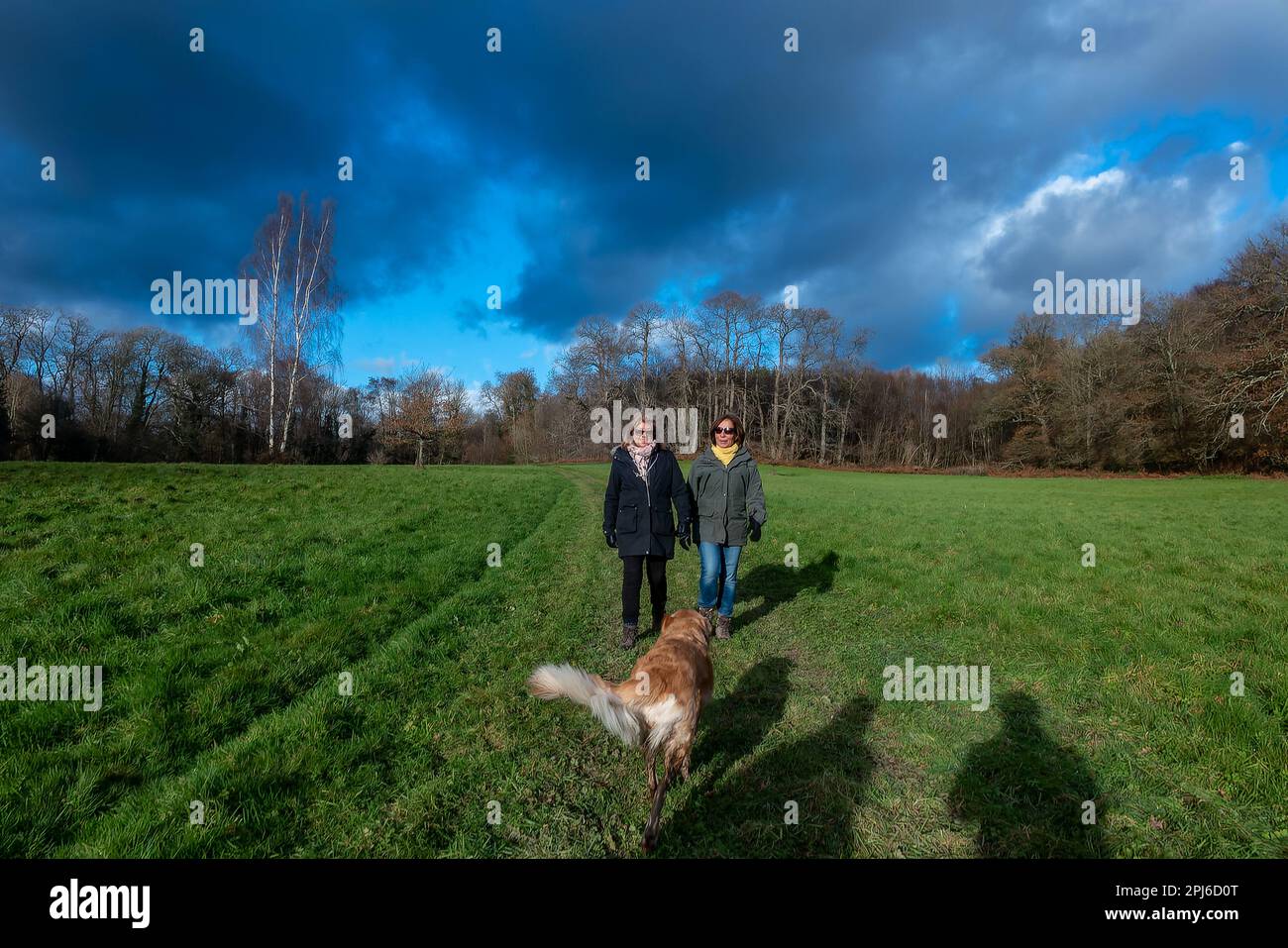 Brighton, November 26th 2017: Walking in Staplefield with Stuart and ...