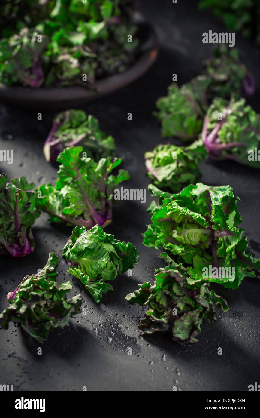 Kalette, kale sprouts or flower sprouts on black background. Hybrid ...