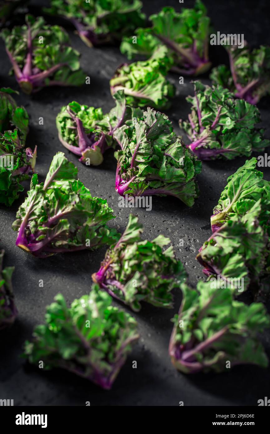 Kalette, kale sprouts or flower sprouts on black background. Hybrid ...