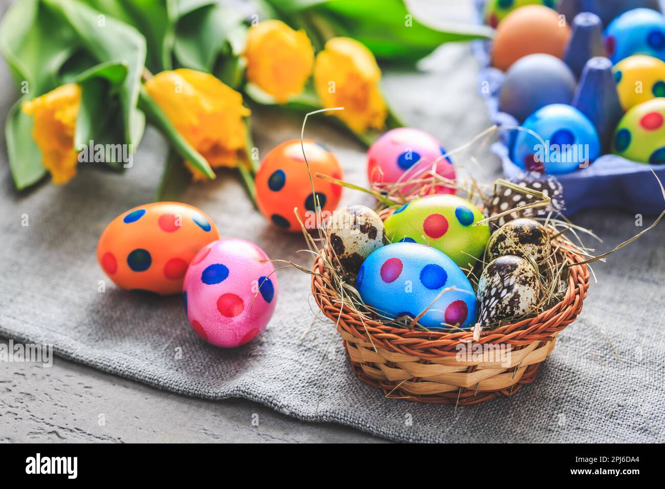 Spring time - Easter eggs and tulips on grey background Stock Photo - Alamy