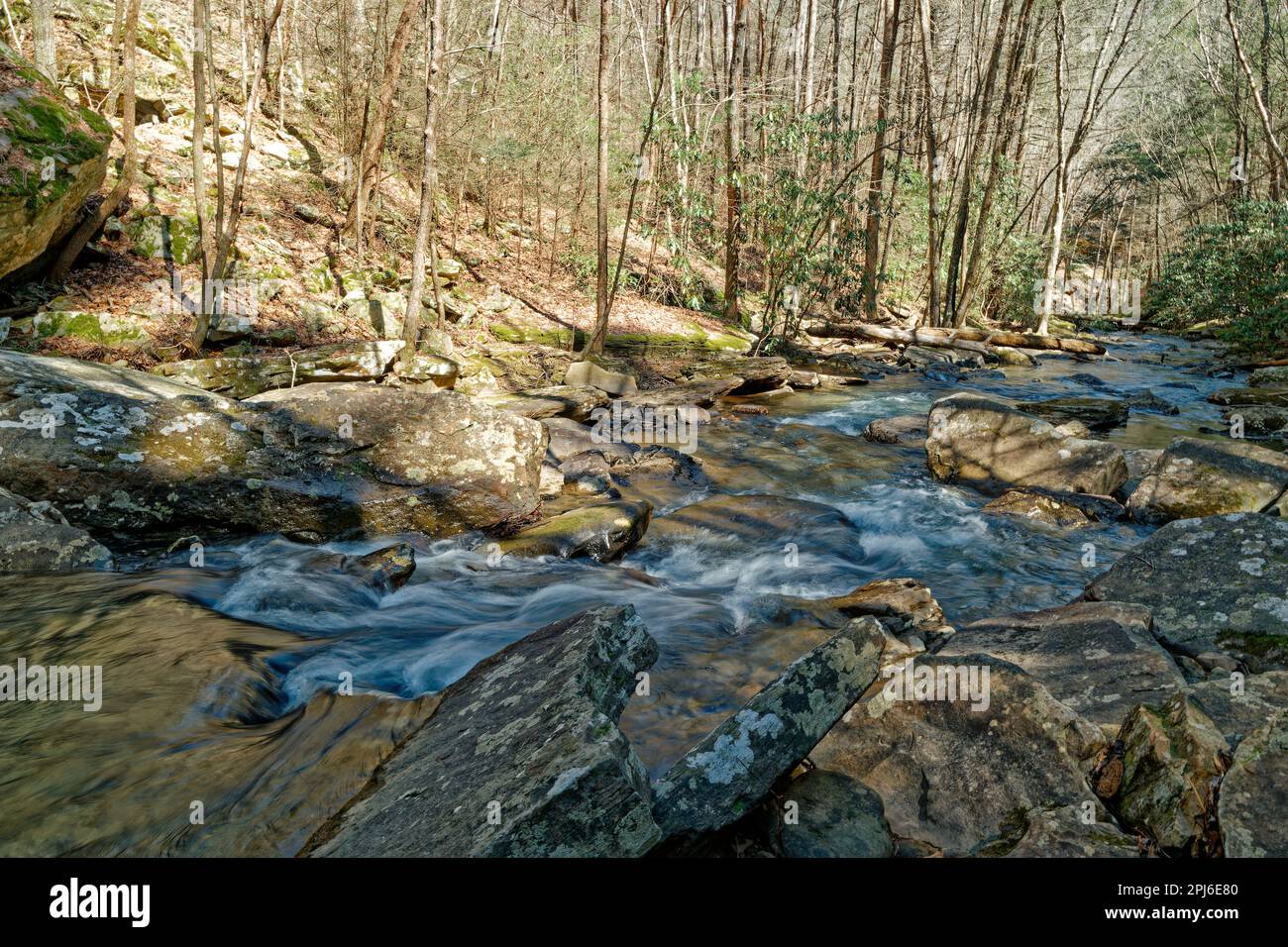 Standing on a boulder looking downstream at Little soak creek in the ...
