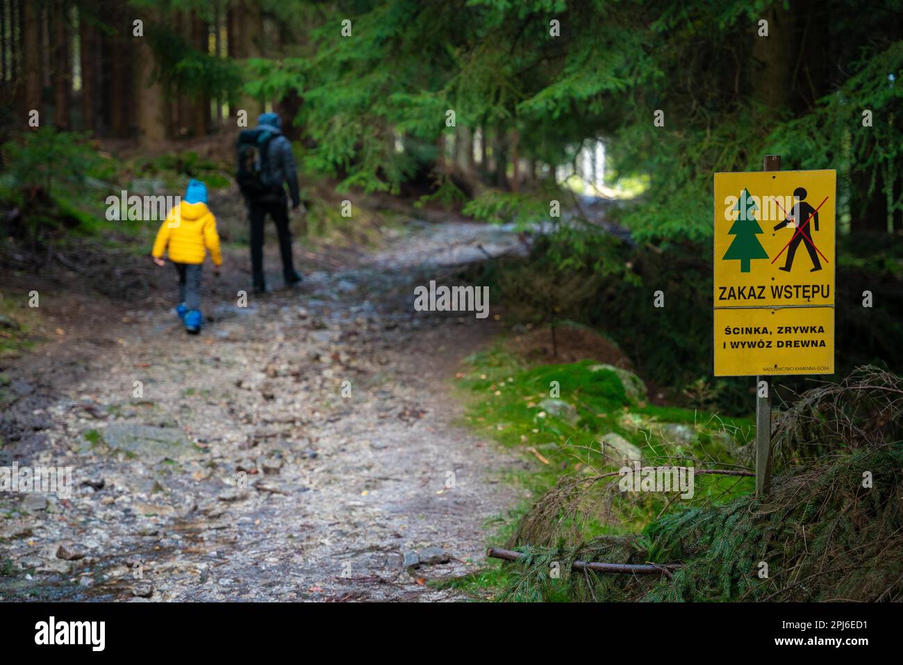 Mum and her little son go on a mountain trail in wet autumn weather ...