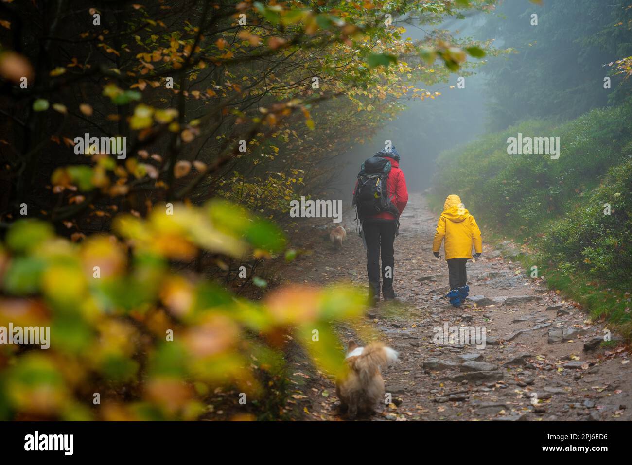 Mum and her little son go on a mountain trail in wet autumn weather ...