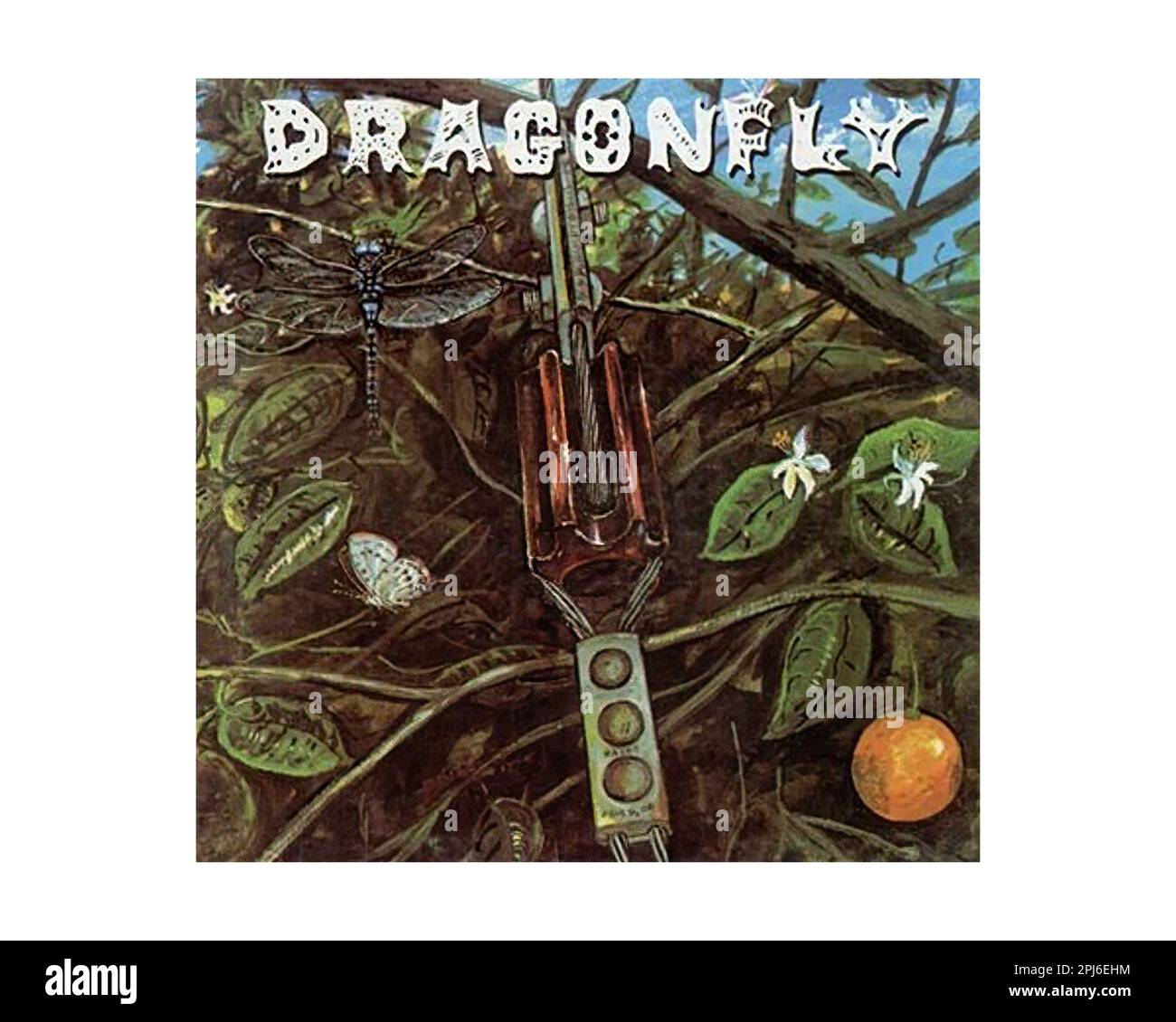 Dragonfly 1969 - Vintage U.S. Music Vinyl Record Stock Photo - Alamy