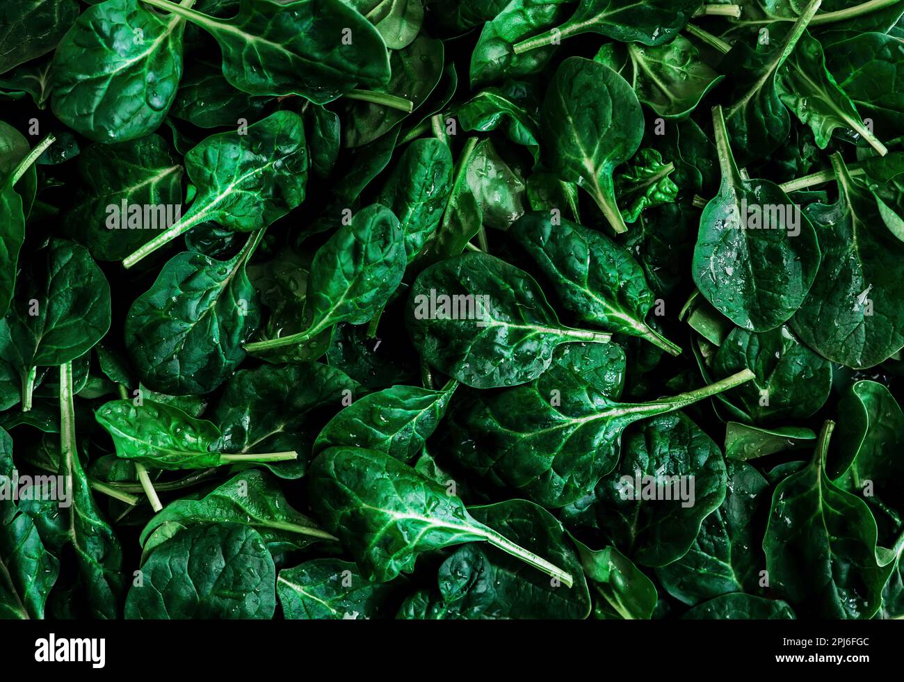 Fresh green spinach hi-res stock photography and images - Alamy